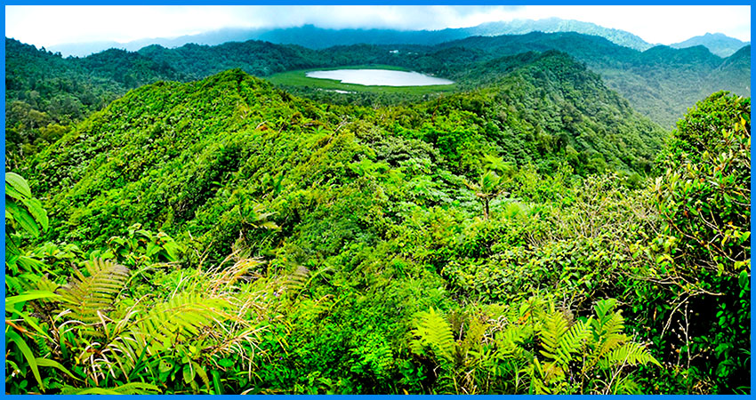 Grand Etang Lake Rainforest National Park Grenada